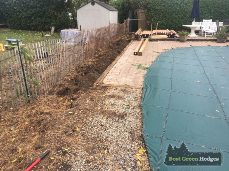 Hedge Removal | Best Green Hedges